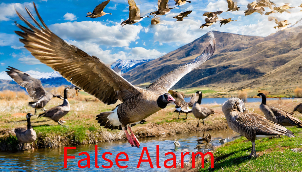 True And False Alarms in Quality Control – Michel Baudin's Blog